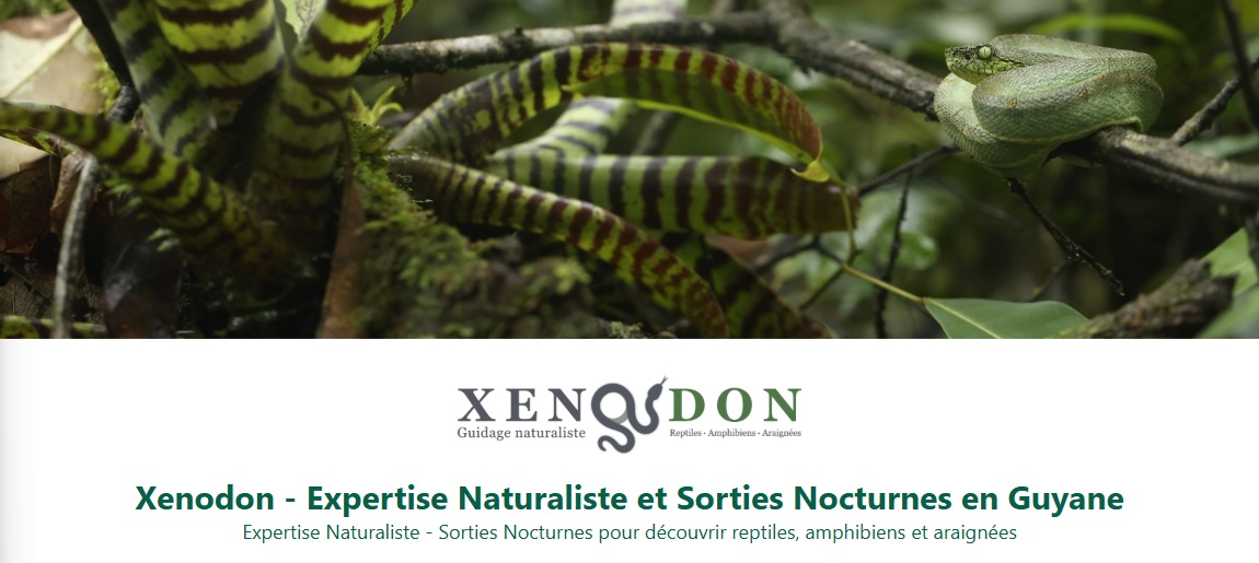 Xenodon - Expertise Naturaliste et Sorties Nocturnes